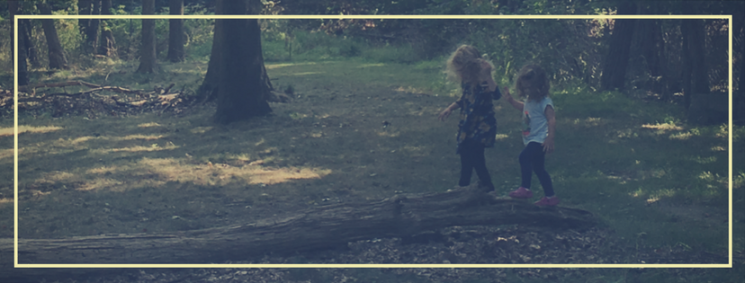 nothing gold can stay. | molly flinkman